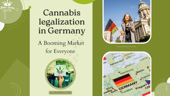 Cannabis Legalization in Germany: A Booming Market for Everyone