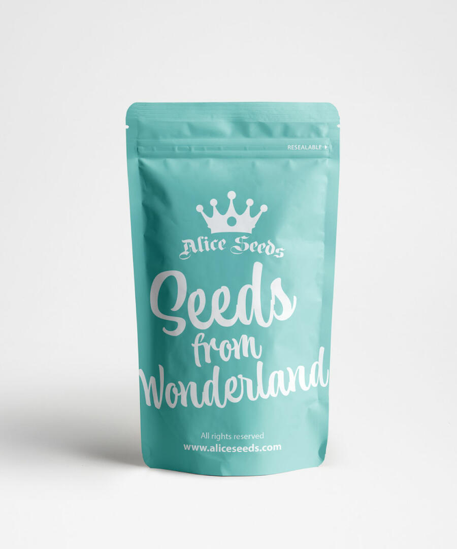 Alice Seeds Automatic: Unleash the Magic of Effortless Cannabis Cultivation